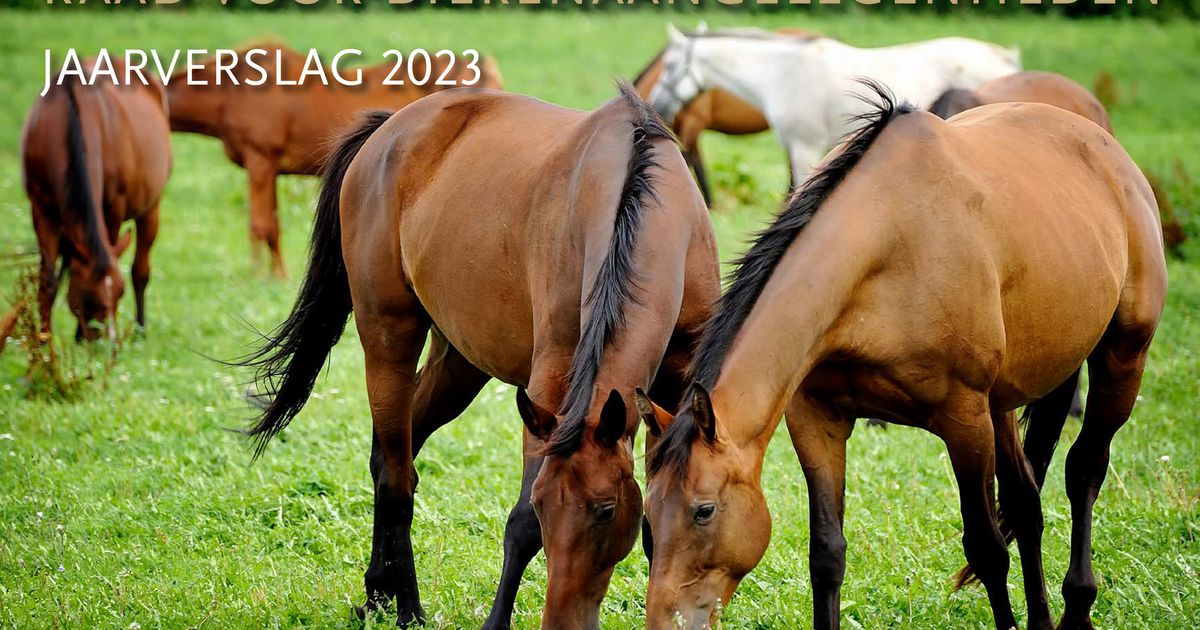 Jaarverslag 2023 | Raad voor Dierenaangelegenheden